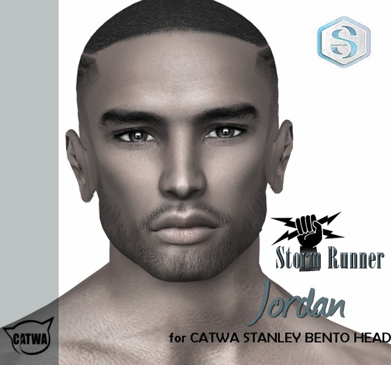 Second Life Marketplace - Storm Runner Shapes - JORDAN - for Catwa ...