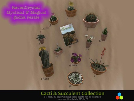 Second Life Marketplace - CR C&S Gacha Box 5 stenocactus coptonogonus ...