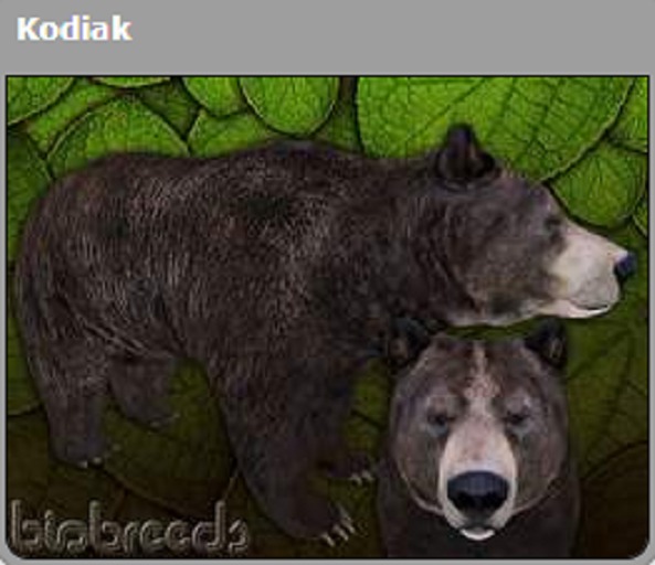 Second Life Marketplace - BB Bear Box - Kodiak/Brown