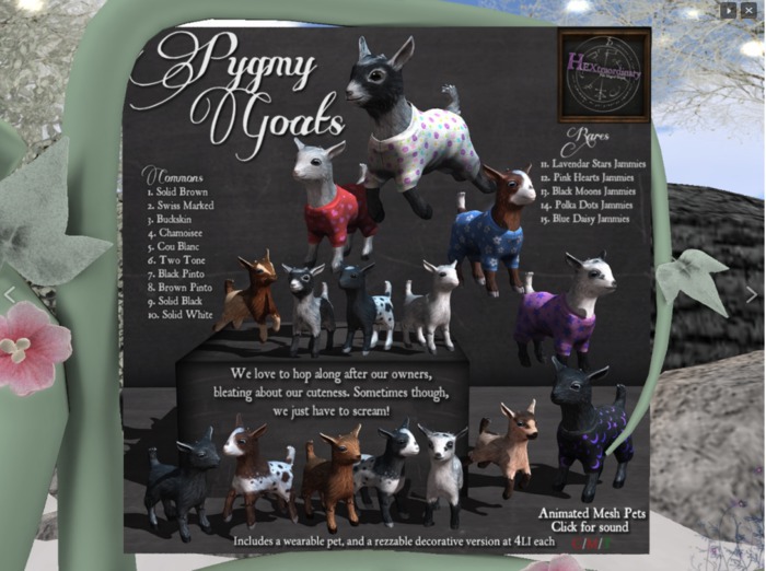 Second Life Marketplace - 5. *HEXtraordinary* Pygmy Goat - Cou Blanc 1