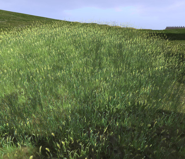 Second Life Marketplace - Grass1 just grass thick