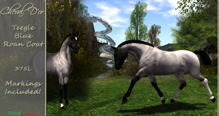Second Life Marketplace - Cheval D'or - Teegle - Blue Roan Texture ...