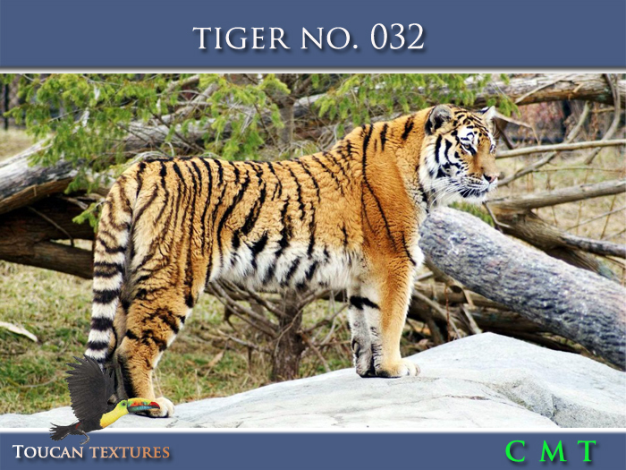 Second Life Marketplace - [Toucan Textures] Tiger No. 032