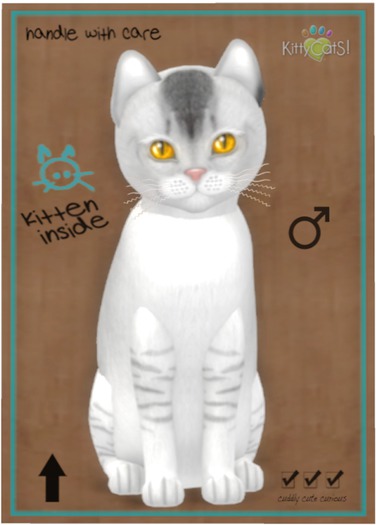 Second Life Marketplace - KittyCatS Box - Burmilla - Black Silver Shaded