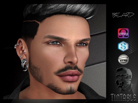 Second Life Marketplace - .::CDC Beard 79 Tintable Catwa/ Sig / Omega ...