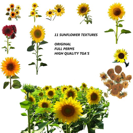 Second Life Marketplace - FULL PERMS 11 SUNFLOWER Textures ORIGINAL ...