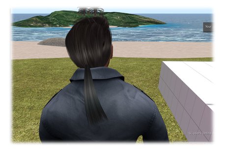 Second Life Marketplace - pony tail - pony tail hair extensions - boxed