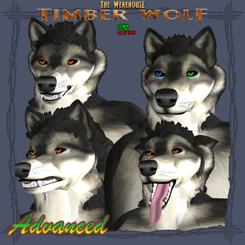 Second Life Marketplace - The WereHouse - Anthropomorphic Timber Wolf ...
