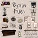 Second Life Marketplace - Little Llama - Brain Fuel - Mug Shelf (BOXED ...