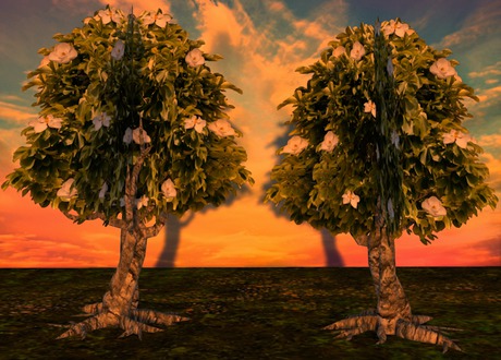 Second Life Marketplace - Magnolia Trees (4)