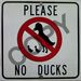 Second Life Marketplace - PLEASE NO DUCKS FUNNY SIGN buy it for your ...