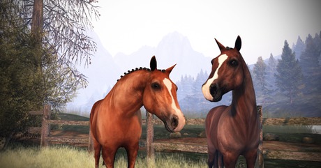 Second Life Marketplace - The Painted Pony ~ Off Kilter Face Markings ...