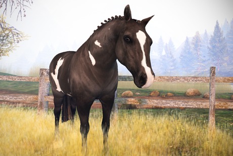 Second Life Marketplace - The Painted Pony ~ Off Kilter Face Markings ...