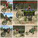 Second Life Marketplace - S*R.store 100%mesh Tricycle with animated flowers