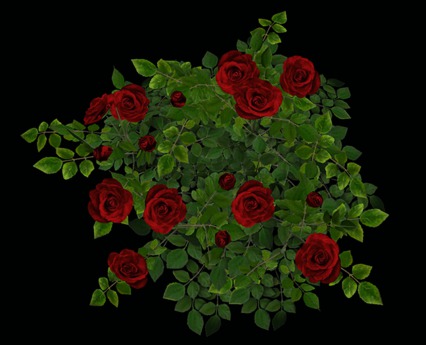 Second Life Marketplace - Rose Bush Pack - Mesh - Full Perm