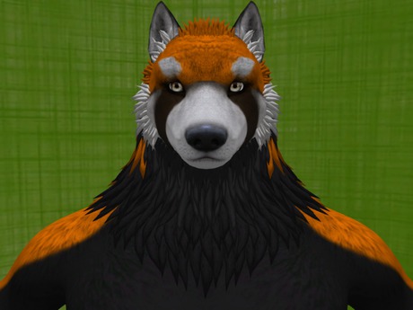 Second Life Marketplace - JOMO Werewolf Red Panda Mod (male only)