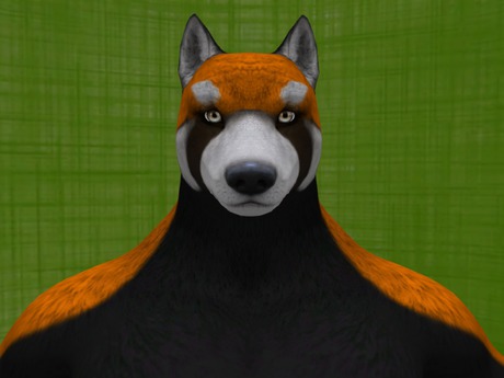 Second Life Marketplace - JOMO Werewolf Red Panda Mod (male only)