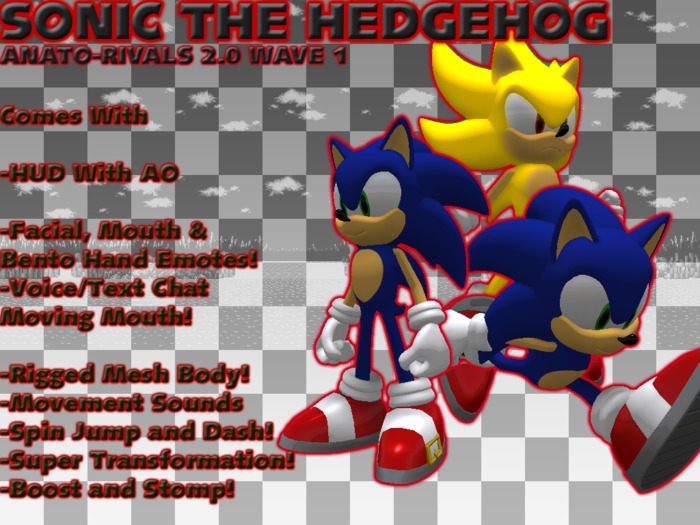 Sonic Rivals Dash Characters