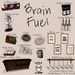 Second Life Marketplace - Little Llama - Brain Fuel - Mug Shelf (BOXED ...