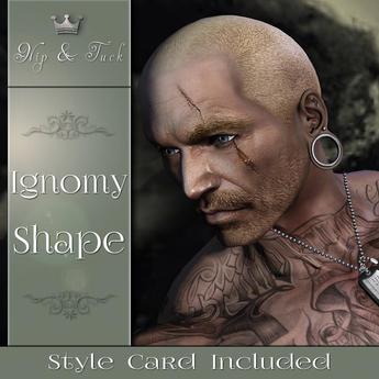 Second Life Marketplace - Ignomy Power Shape for Aesthetic Enzo Mesh ...