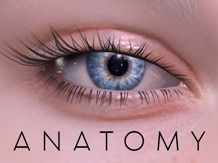 Second Life Marketplace - ANATOMY - Bright Eyes (Blue) - OMEGA Appliers