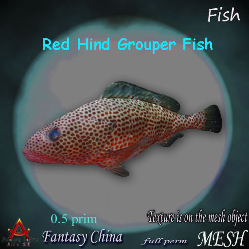 Second Life Marketplace - FC- Full Perm Mesh Red Hind Grouper Fish BP