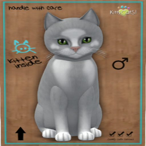 Second Life Marketplace - KittyCatS Box - New Born Kitten