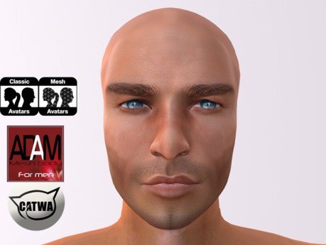 Second Life Marketplace - Catwa Male Skin Apllier / Mesh Body
