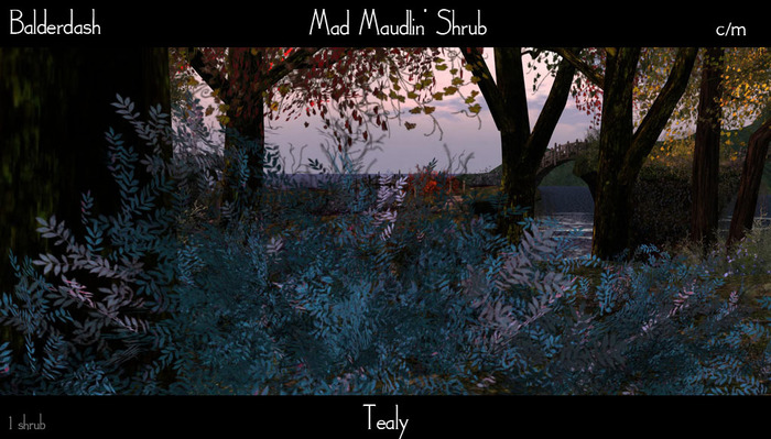 Second Life Marketplace - Balderdash - Mad Maudlin' shrub - Tealy