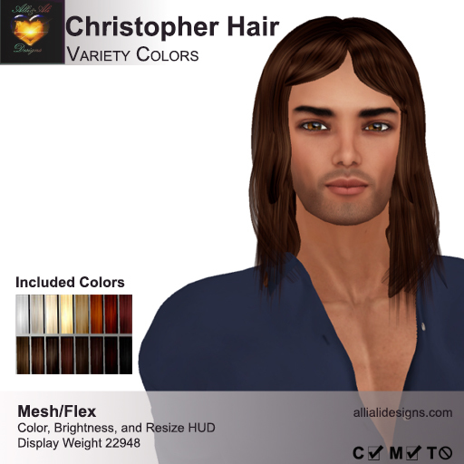 Second Life Marketplace - A&A Christopher Hair Variety Colors Pack ...