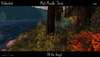 Second Life Marketplace - Balderdash - Mad Maudlin' shrub - fatpack ...