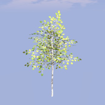 Second Life Marketplace - T-Spot Mesh - Paper Birch Tree - Summer ...