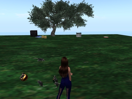 Second Life Marketplace - OMG Rats! animated