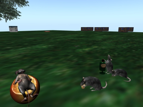 Second Life Marketplace - OMG Rats! animated