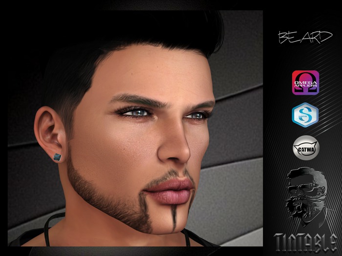 Second Life Marketplace - .::CDC Beard 101 Tintable Catwa/ Sig / Omega ...