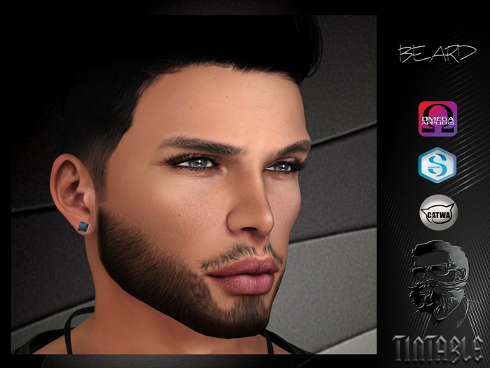 Second Life Marketplace - .::CDC Beard 100 Tintable Catwa/ Sig / Omega ...