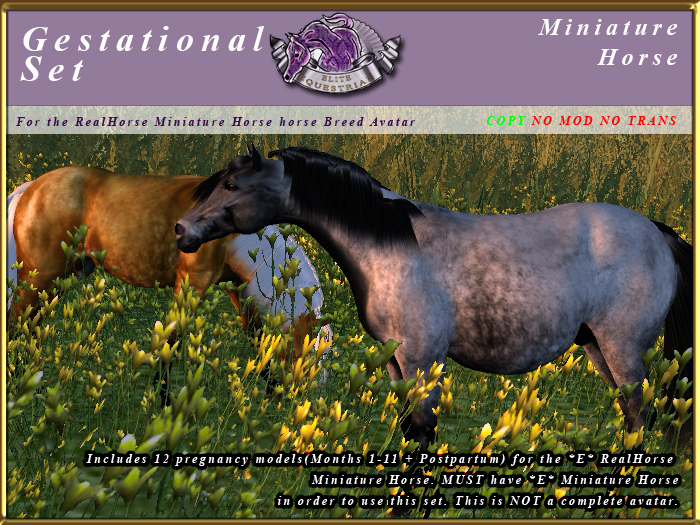 Second Life Marketplace - *E* RealHorse Gestational Modification Set ...