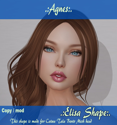Second Life Marketplace - Elisa shape for Catwa Tala Bento Mesh Head