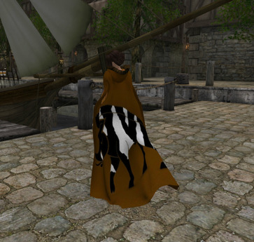 Second Life Marketplace - [TRN] Ladies House Sigil Cloak: Crakehall ...