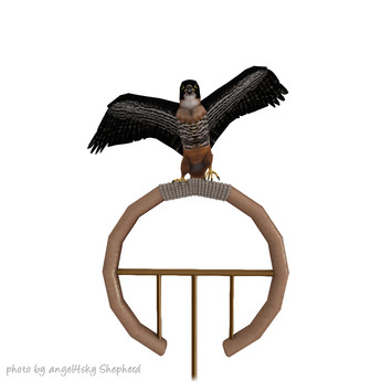 Second Life Marketplace - JIAN Avian Arcana 6. Orange Breasted Falcon ...