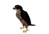 Second Life Marketplace - JIAN Avian Arcana 14. Orange Breasted Falcon ...
