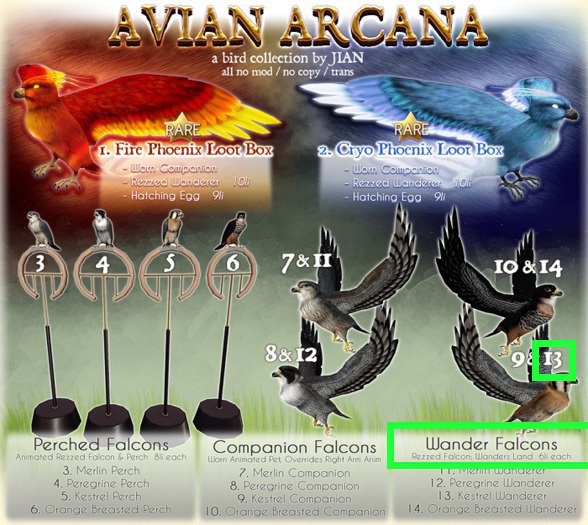 Second Life Marketplace - JIAN Avian Arcana 13. Kestrel Falcon Wanderer BOX