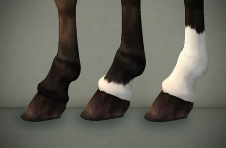 Second Life Marketplace - The Painted Pony ~ Black Leg Markings Fat ...