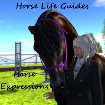 Second Life Marketplace - Horse Life Guides: Horse Expressions