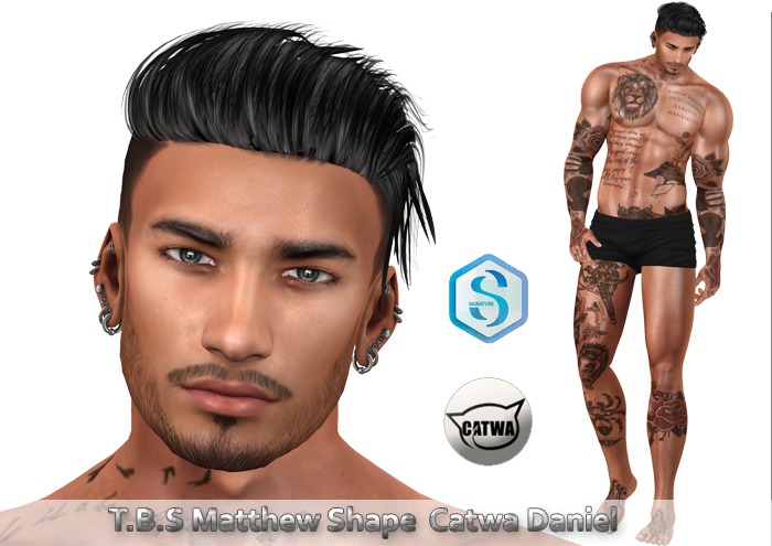 Second Life Marketplace - T.B.S Matthew Catwa Daniel Shape Bento