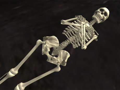 Second Life Marketplace - Wearable Skeleton Avatar Costume (boxed)