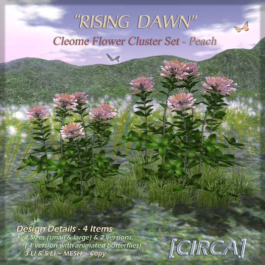 Second Life Marketplace - [CIRCA] - "Rising Dawn" - Cleome Flower Set ...