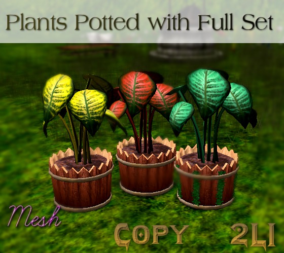 Second Life Marketplace - Plants Potted With Full Set