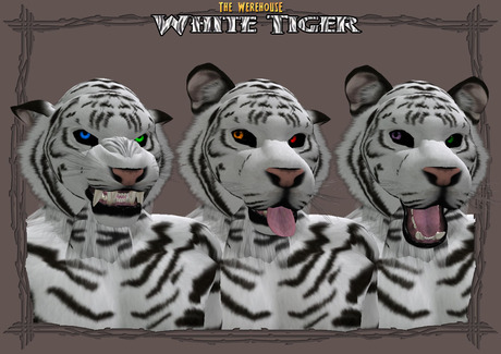 Second Life Marketplace - The WereHouse - Anthropomorphic White Tiger ...