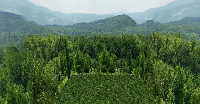 Second Life Marketplace - Decorative kit for parcel or skybox - Forest